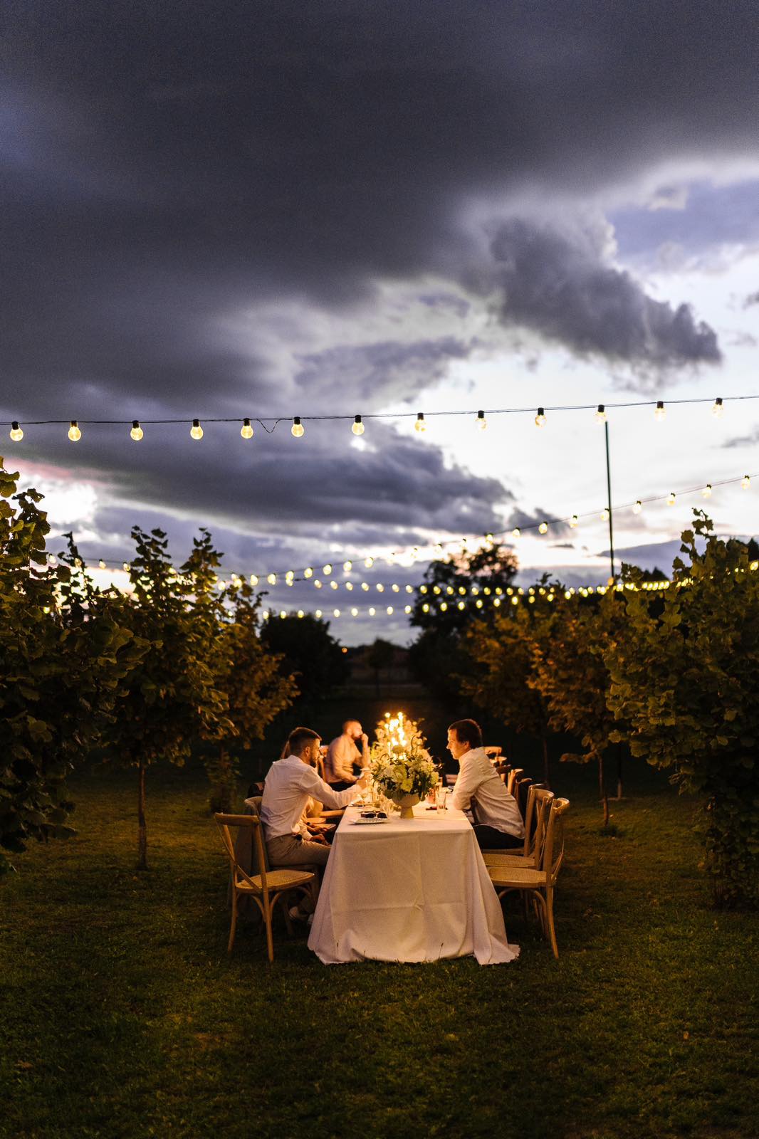 Villa Viko Novi Sad | Ludi Kamen