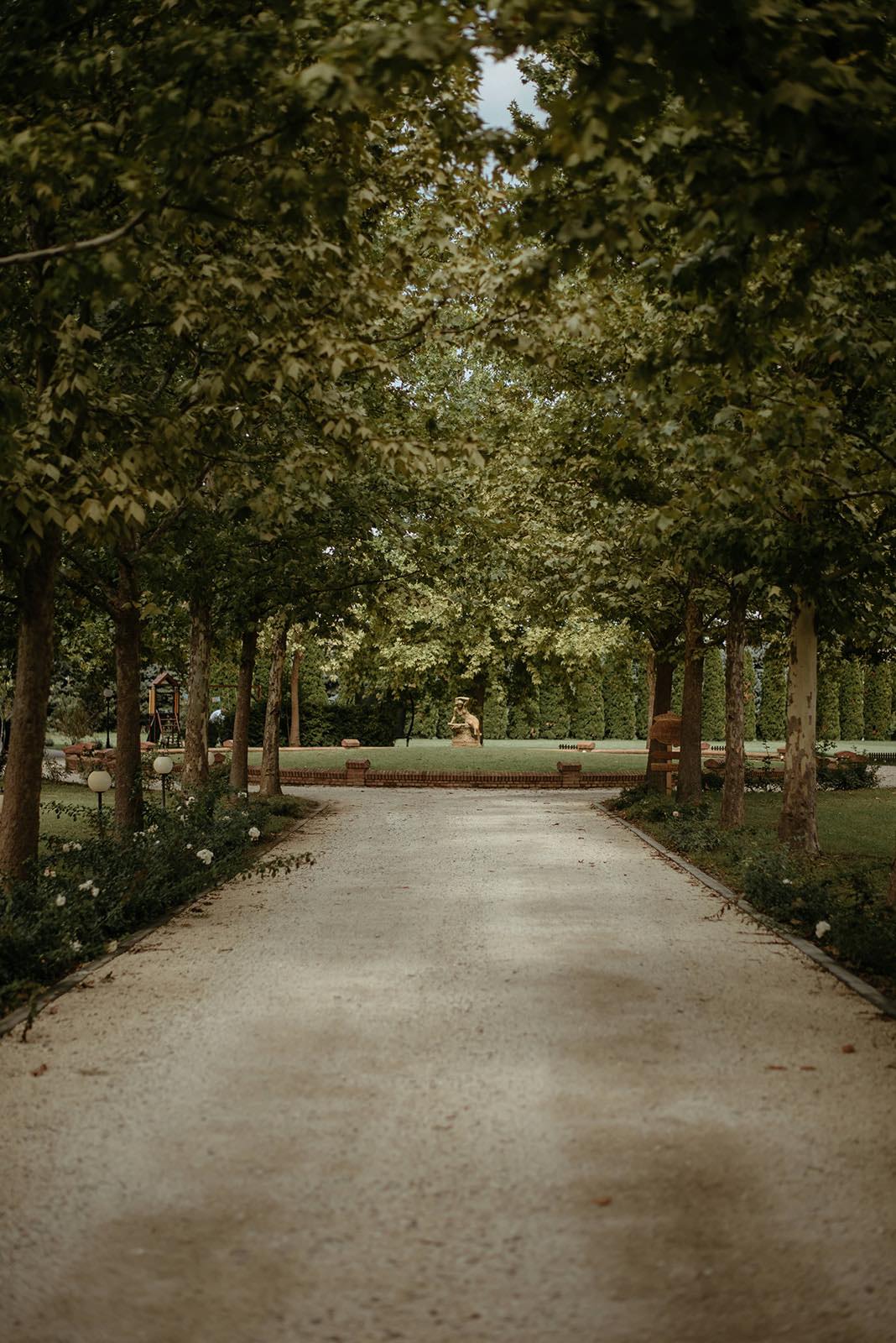 Villa Viko Novi Sad | Ludi Kamen