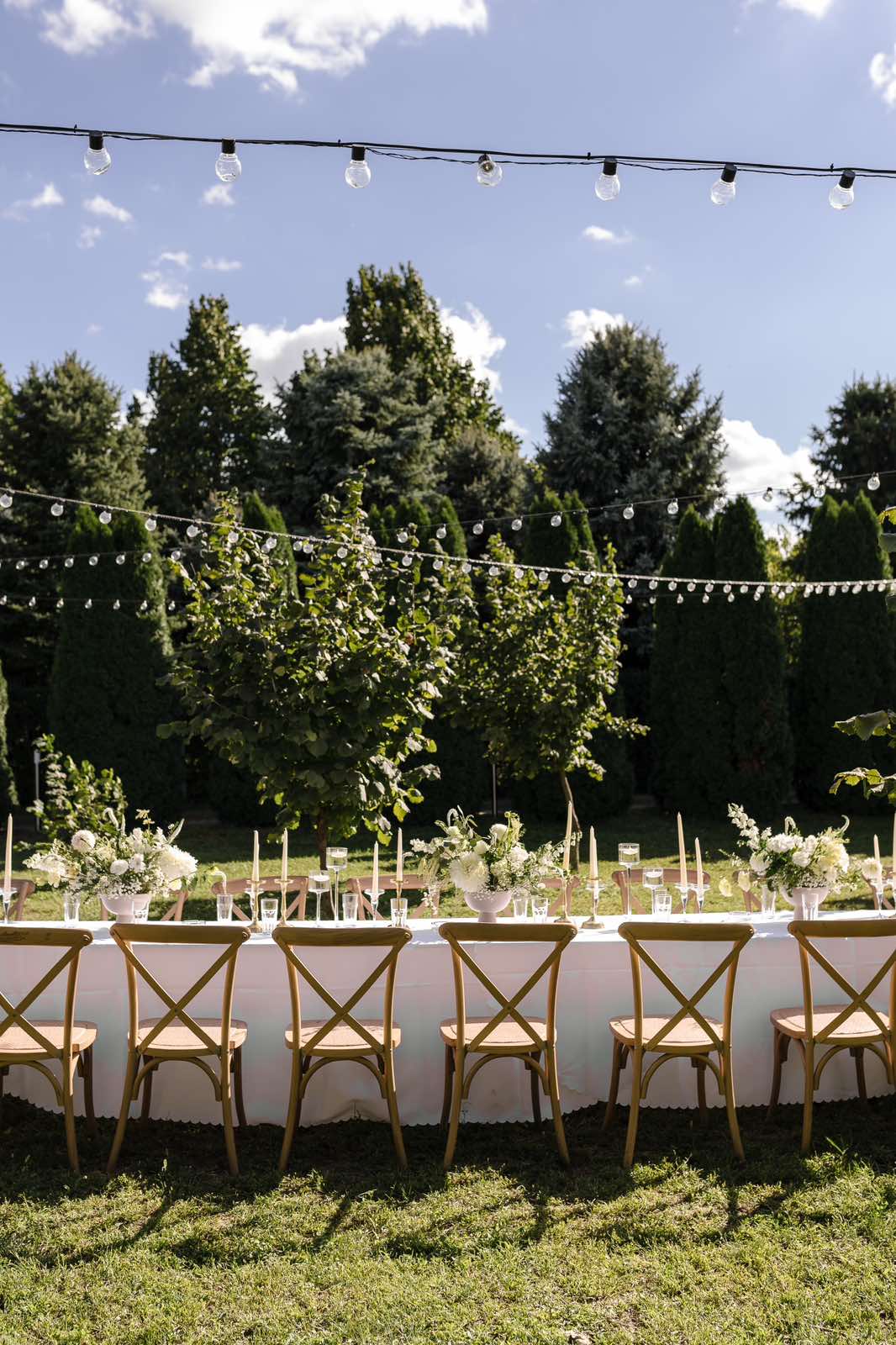 Villa Viko Novi Sad | Ludi Kamen